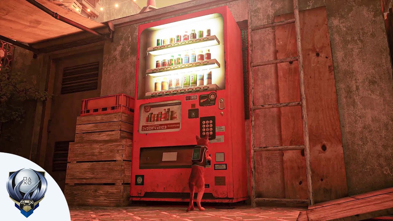 نکات جذاب بازی Stray که نباید از کنارشان راحت عبور کرد